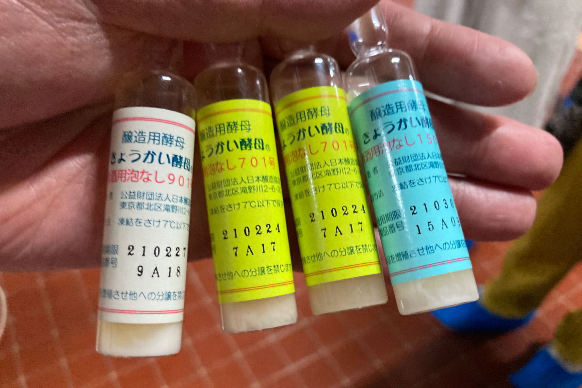 Blog 3 Common Sake Yeast Strains blog-3-common-sake-yeast-strains